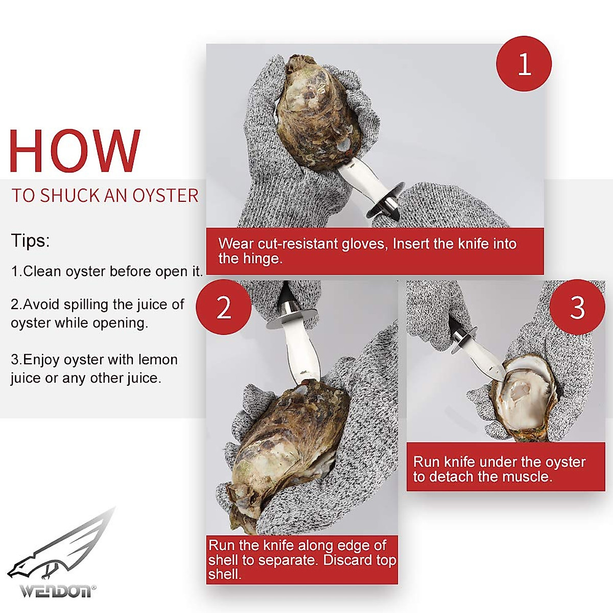 WENDOM Oyster Shucking Knife and Gloves Set Oyster Knife Shucker 4pcs Opener with Cut Resistant Gloves Level 5 Protection Seafood Tools Kit Black