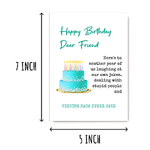 EruditeGifts Dear Friend - Keeping Each Other Sane - Happy Birthday Card For Friend - Funny Birthday Card For Friends Best Friend - Best Friend Birthday Card