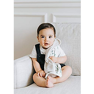 Copper Pearl 3-Layer Knit Security Blanket Set Sized 16" x 16" 2-Pack Pacific