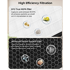 Vital 100s HEPA Replacement Filter Compatible with LEVOIT Vital 100S Air Pur-ifier 3-in-1 True HEPA High-Efficiency Activated Carbon Replace Part #Vital 100S-RF, 2 Pack