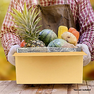 ABC 5 Pack Double Layer Foil Insulated Box Liners 12 x 12 x 5.5 inches. Fits USPS Large Flat Rate Box (12" x 12" x 5.5") Silver Shipping Boxes for Frozen Food, Odorless Insulated Containers.