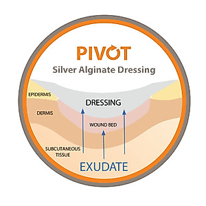 Pivot Silver Alginate Wound Dressing – All-Natural First Aid | 4x5 Dressings, Box of 10