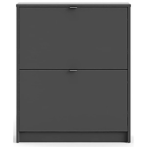 Pemberly Row Engineered Wood Bright 2 Drawer Shoe Cabinet in Black Lead