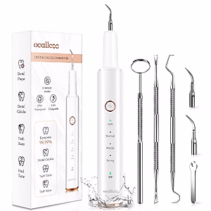 Plaque Remover for Teeth, Electric Tooth Cleaner Tartar Remover for Teeth with LED Light,4 Modes Rechargeable Teeth Cleaning Kit with Dental Tools, 2 Replaceable Heads (White A)