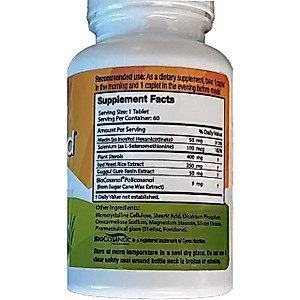 Lipidshield Natural Supplement - 60 Caplets