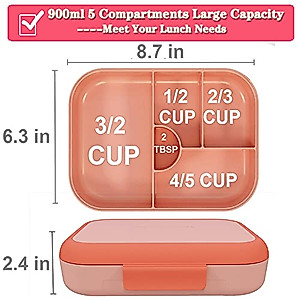 Lunch Box Kids，Bento Box Adult Lunch Box Kid, Ponydash Lunch Containers for Kids with Ice Pack / 5 Compartments / Insulated Soft-Sided Lunchbag- Keeping Cool for 4-5 Hours, for Kids / Adult / Men