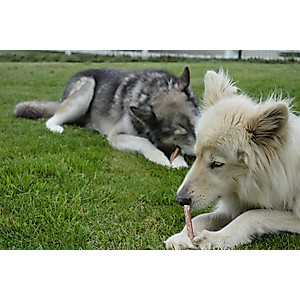 EcoKind Pet Treats All-Natural Premium 4 Inch Bully Sticks for Dogs | 16 Oz. Bag | Delicious Protein Rich Dog Chews