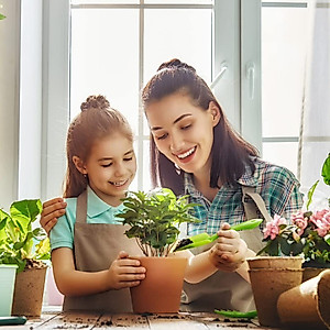 Pure Garden HW1500188 Tricycle Plant Stand Â– 2-Tiered Indoor or Outdoor Decorative Vintage-Look Metal Display for Patio, Deck, Home or Lawn, Matte Black