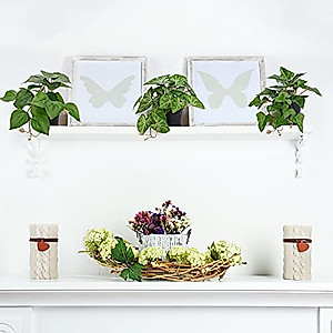 COCOBOO 3 Packs Fake Plants, Small Artificial Plants with Plastic Pots, Fake Potted Desk Plants for Office Home Shelf Decor Indoor Outdoor