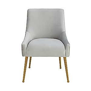 TOV Furniture Beatrix 19" Transitional Velvet Side Chair in Light Gray