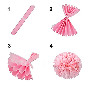 Blush Pink Rose Gold Hanging Tissue Paper Pom Poms,12Pcs Pompoms Flowers for Boho Birthday,Bachelorette, Bridal Shower Decorations, Wedding, Baby Shower Decorations