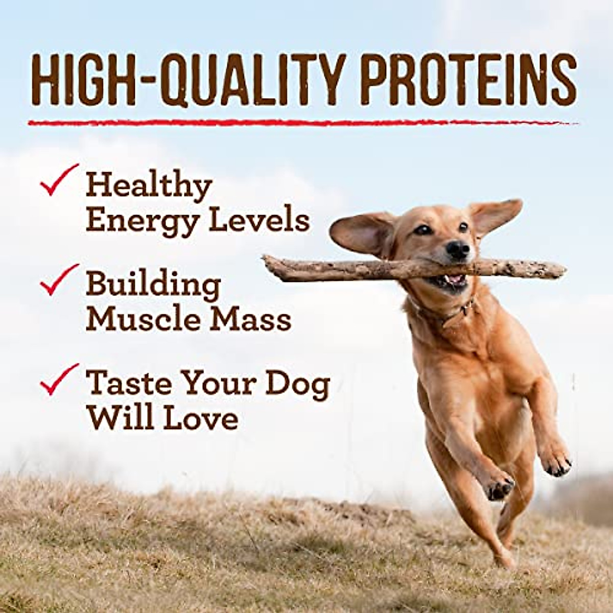 Merrick Grain Free Wet Puppy Food Puppy Plate Beef Recipe - 12.7 Ounce (Pack of 12)