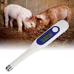 Veterinary Electronic Thermometer LCD Digital Animal Thermometer for Cattle Sheep Horses Pigogs Use,Garden Ding Poultry Ding Plies