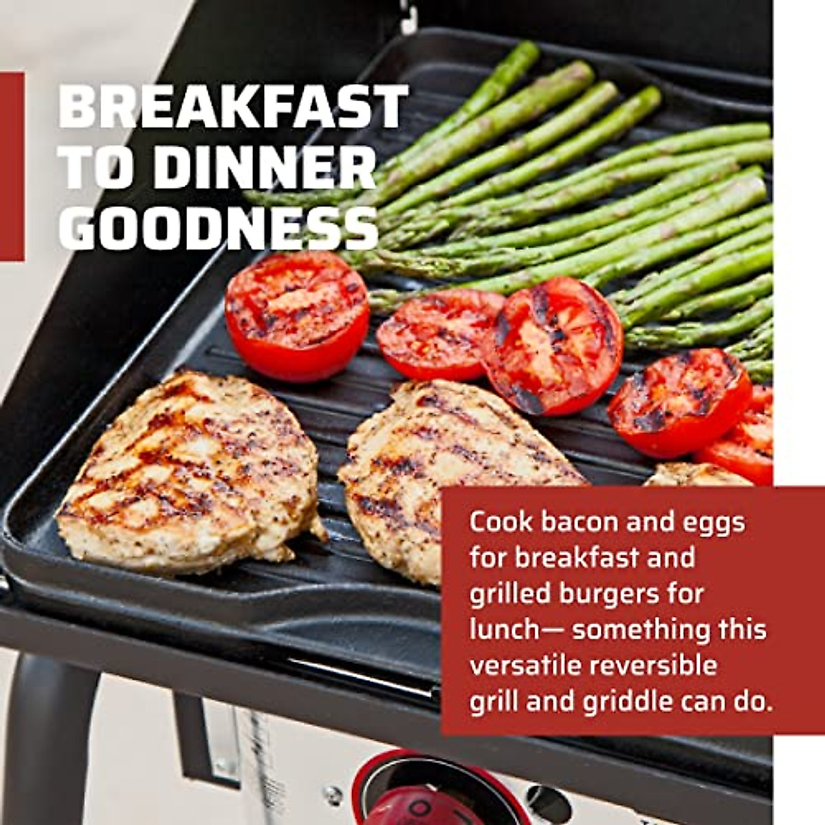 Camp Chef Reversible Pre-Seasoned Cast Iron Griddle, Cooking Surface 14 in. x 16