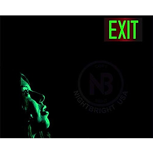 Photoluminescent Exit Sign (Red) / Pack of 2 / UV Inks on Aluminum. Heat Resistant | Cold Tolerant | Weather Proof. MADE IN USA.