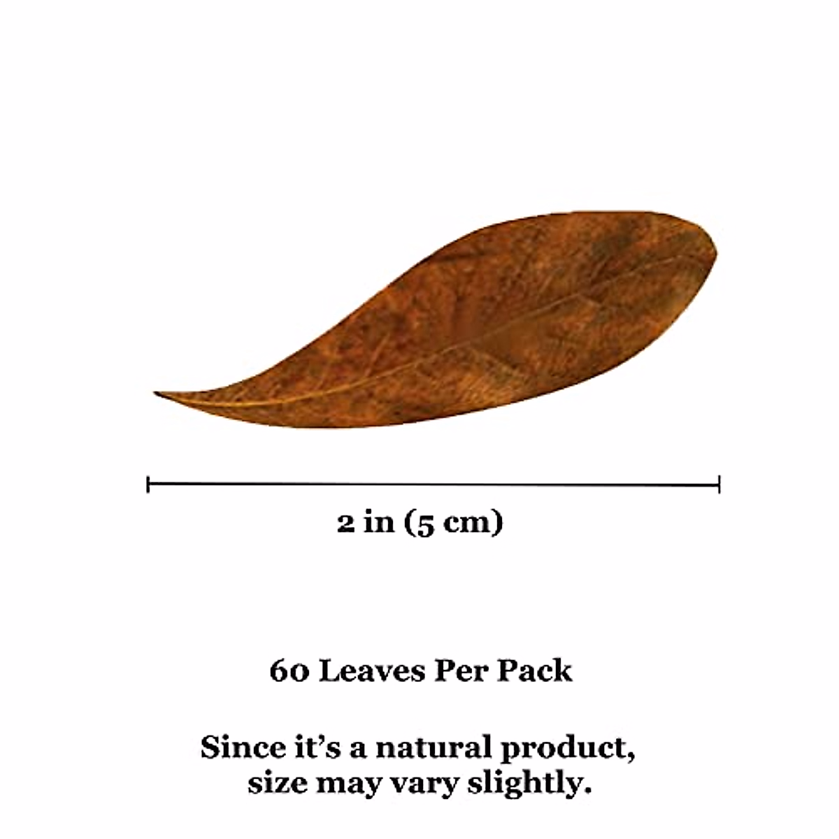 JOR Catappa Indian Almond Leaves, Fin Rot Treatment Betta Fish Water Conditioner Aquarium Leaves, Create Realistic River Habitat, Reduce Stress, Loved by Shrimp & Tropical Fish