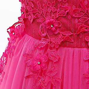 Girls Lace Pageant Party Dress Wedding Flower Girl Maxi Gowns Flower A Line Birthday Dance Evening Tulle Floor Length Skirt Hot Pink 6-7 Years