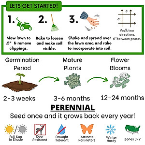 Flawn Seed Dutch White Clover Seed, Low Maintenance, Eco/Pollinator Friendly Flowering Lawn, Kid, Pet, Grass Alternative, Easy Open Compostable Pouch, Easy Spread Up to 500 SqFt