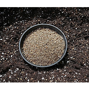 Olympus Myco Organic Vermiculite for Mushrooms and Plants (8QT) | Medium Fine Grade | Substrate Conditioner for Mushroom Growing