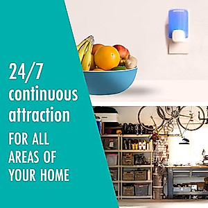 STEM Light Trap: Indoor Fruit Fly Trap, Effective Insect Control for Home, Attracts and Traps Flying Insects, Emits Soft Blue Light, Starter Kit with 1 Plug-In Device and 1 Cartridge