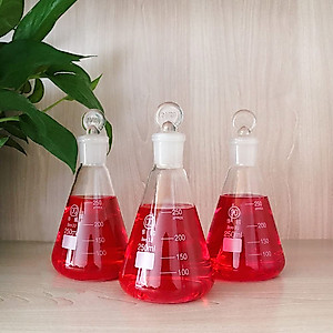 HUAOU 250ml Glass Erlenmeyer Flask Set, 3pcs Laboratory Glassware Flask with Glass Stopper for Chemistry Classroom Home Use, 3.3 Borosilicate Labware Science Flask, Narrow Mouth, Printed Graduation
