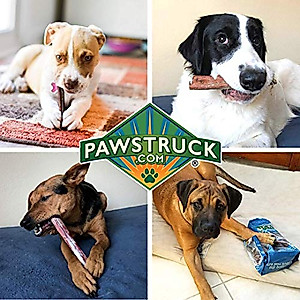 Pawstruck “Bizarre” Bully Sticks for Dogs (by Weight) Eco-Conscious, Bulk, Natural & Odorless Bullie Bones Made for K9 & Puppies - Long Lasting Chew by USA Company (8" to 12" Sticks, 1lb. Bag)