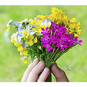Fragrance Bouquet Flower Rocket Seed Disc - Concentrated Flower Planting Gardener Indoor Outdoor Kit - by Garden Innovations
