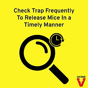 Victor M308 TIN CAT Clear Top Mouse Rat Trap, Pack of 12, Silver