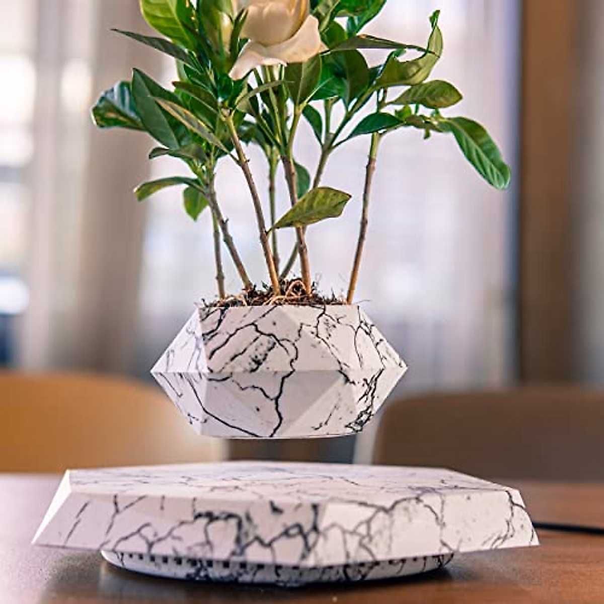 HCNT Floating Plant Pot - Levitation Air Bonsai Pot for Succulents, Floating Planter, Potted Plant Home, Office & Decor in Flower Pots for Home. (Marble)