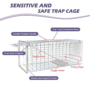 Live Feral Cat Trap Cage with Cover, Heavy Duty Folding Animal Traps Cage for Stray Cats, Humane Cat Trap for Raccoon, Squirrel, Skunk, Catch and Release - (32 x 10 x 12 inches, Trap Cage with Cover)