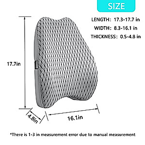 Bipintip Lumbar Support Office Chair with Adjustable Strap and Washable Cover - Back Cushion for Couch,Recliner,Car,Desk Chair - Lumbar Pillow Back Pain Relief,Improve Posture(Gray)