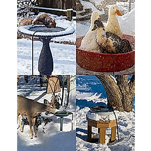 Bird Bath De Icer: for Outdoors in Winter, 6 Ft Cord, 60W Thermostatic Control Overheat Automatic Pause, Deicer for Bird Bath, Squirrel,Hummingbird Etc