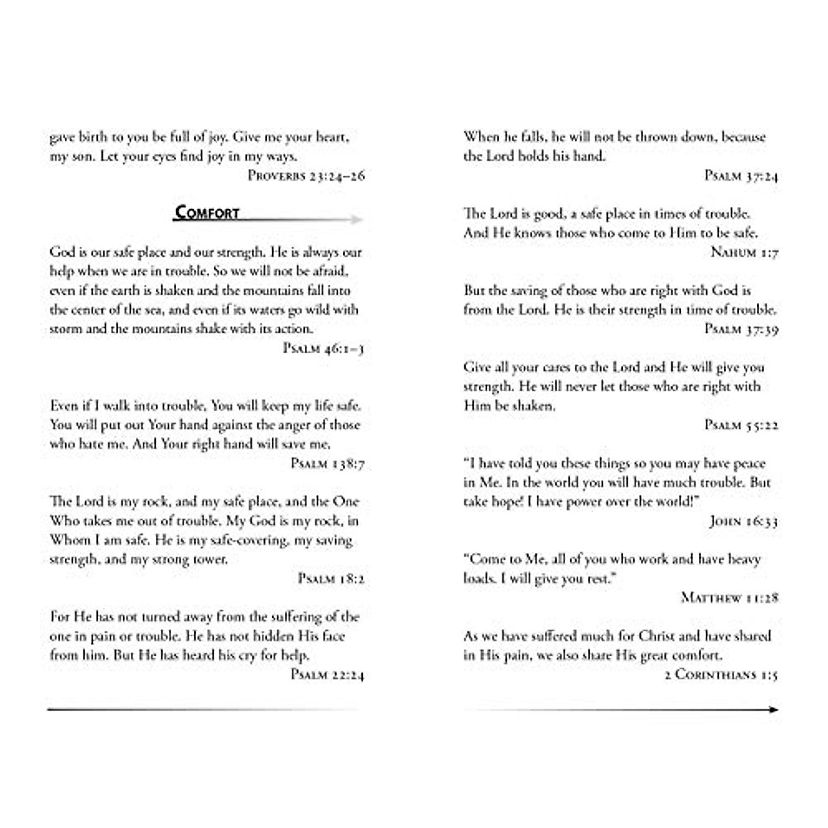 The Bible Promise Book - NLV (New Life Bible)