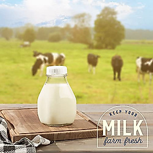 Kitchentoolz 16 Oz Glass Milk and Creamer Bottle with Caps - Perfect Milk Container for Refrigerator Storage - 16 Ounce Short and Wide Glass Milk Bottle with Tamper Proof Lid and Pour Spout - Pack of 1