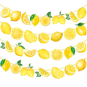 Lemon Party Banners Yellow Lemon Birthday Party Decorations Lemonade theme Banners for Summer Fruit Party Lemon Theme Party Bridal Shower Party Supplies