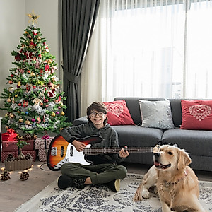 Ktaxon Electric Bass Guitar with 20Watt Amplifier, 4 String Right Handed Electric Bass Kit for Beginner & Professionals W/a Bag, Shoulder Strap, Guitar Pick, Wrench Tool(Brown Sunburst)