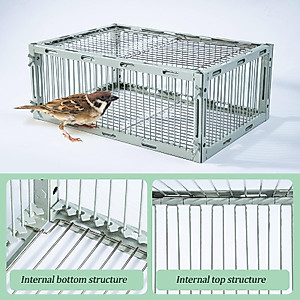 Bird Trap Cage with Escape-Proof,Bird Traps for Small Birds Live,Sparrow Trap,Portable,Easy Assembly and Unharmful.Made of Iron with Anti-Rust Paint A4
