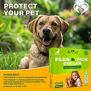 Natural Flea & Tick Collar for Dogs - 6 Months Control of Best Prevention & Safe Treatment - Anti Fleas and Ticks Essential Oil Repellent (1 Pack, 2 Count)