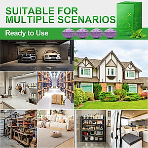 Rodent Mice Repellent - 36Pcs Peppermint Oil Mouse Repellent Balls for Rats Mice Deterrent, Keep Rodents Out of Car House Indoor Outdoor, Mice Rat Repellent Humans & Pets Safe, Rat Spider Control