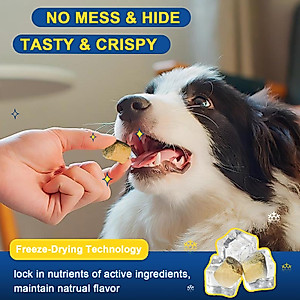 Dog Allergy Relief, Itch Relief for Dogs, Colostrum, Probiotics for Dogs Support Immunity, Omega3, Honey for Dry & Itchy Skin Relief, Seasonal Allergy, Pawlicking, Hot Spot Treatment, 115 Immune Bites