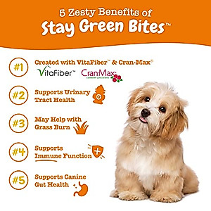 Zesty Paws Stay Green Bites for Dogs - Grass Burn Soft Chews for Lawn Spots Caused by Dog Urine - Cran-Max Cranberry for Urinary Tract & Bladder - with Apple Cider Vinegar + Digestive Enzymes - 90ct