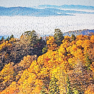 BEDUKE Jigsaw Puzzles for Adults 1000 Piece Sturdy Premium Thick Paper Cardboard Colorful Rainbow Design Puzzle Interlocking Precise Unique Shape Pieces Family Game Eco-Friendly Paperboard Age 14+