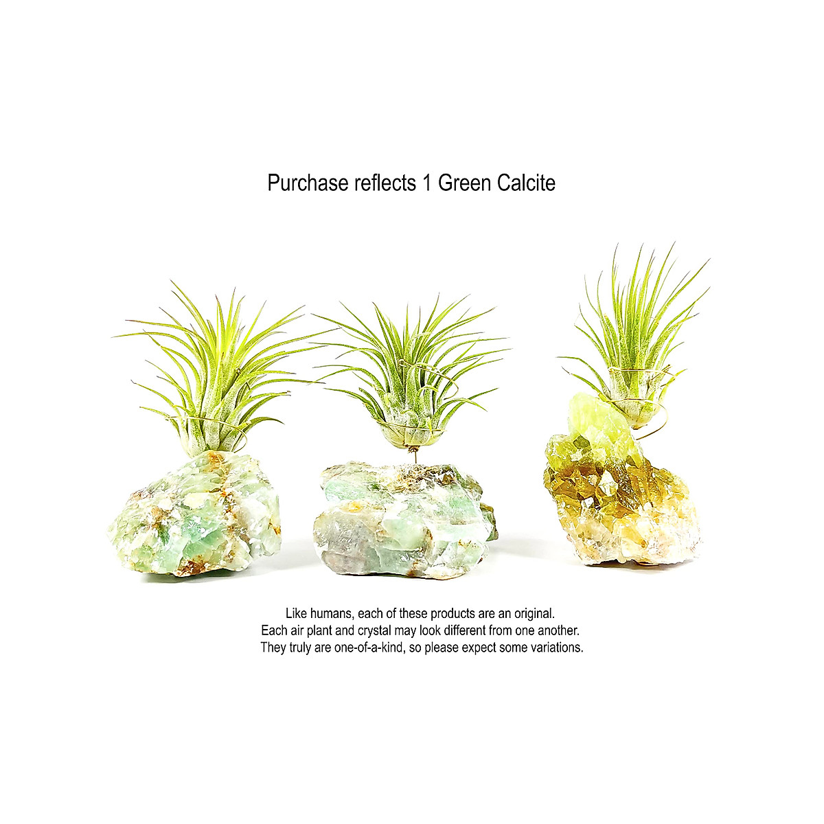 Green Calcite Crystal Air Plant Holder Gift Includes Healthy Live Air Plant and Gift Box Great Gift for Friend Co-worker or Neighbor