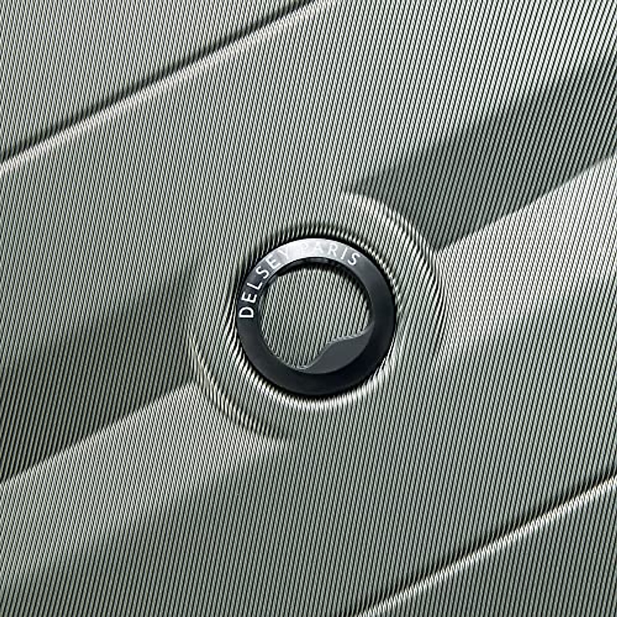 DELSEY PARIS Unisex Adult 64 Liters, Iguana, M (67 cm-64 litres)