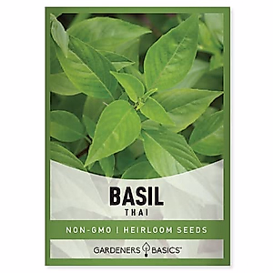 Thai Basil Seeds for Planting Herbs - Heirloom Non-GMO Herb Plant Seeds for Home Herb Garden Indoors, Outdoors, and Hydroponics by Gardeners Basics