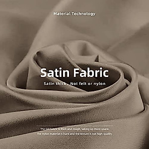 DGAZ Purse Organizer Insert，Silk Bag Organizer，Luxury Handbag & Tote Shaper Fits Lindy 19/26/30/34 Bags（Etoupe grey，LD26）