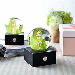 MISS LI GARDEN Forever Flower Special Edition,Lily of The Valley, White Base, Elegant Present for Girlfriend Wife Mom Women Enchanted Birthday Anniversary Wedding Home Décor