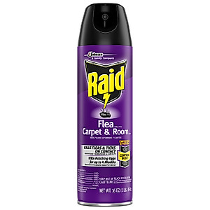 Raid Flea Killer, Kills Fleas, Crickets, Roaches, Silverfish and Ticks, Use in your Home or on your Dog, 16 oz