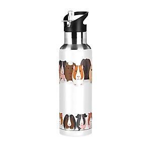 Glaphy Guinea Pigs Pattern Water Bottle with Straw Lid, BPA-Free, 20 oz Water Bottles Insulated Stainless Steel, for School, Office, Gym, Sports, Travel