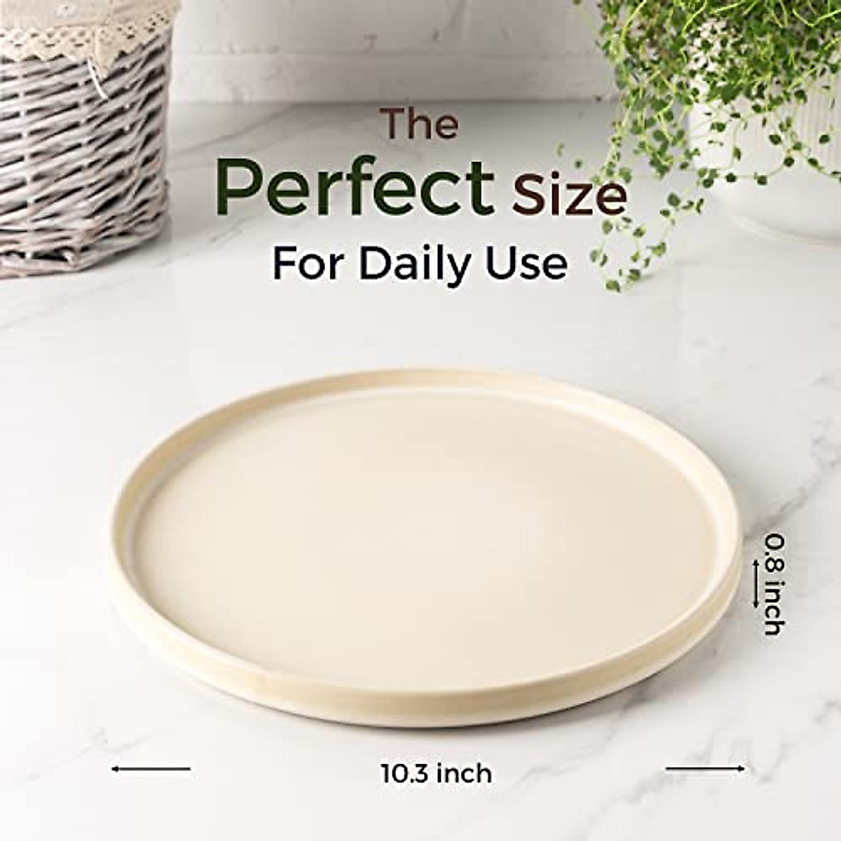 AmorArc Stoneware Dinner Plates Set of 4, 10.25 Inch Reactive Matte Glaze Ceramic Plates Set, Modern Dinnerware Dish set for Kitchen,Microwave, Dishwasher Safe, Scratch Resistant - Ivory